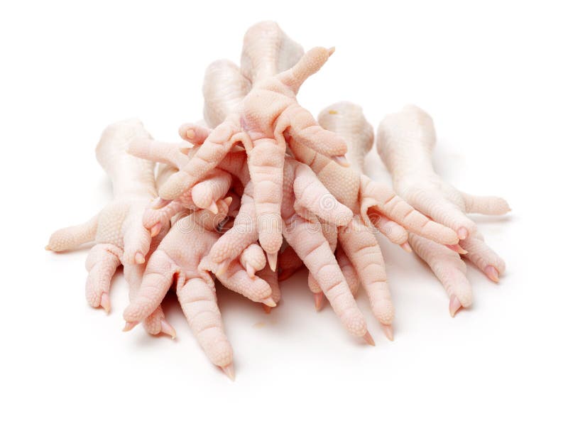 Raw chicken feet stock photo. Image of fresh, meat, background - 134100364