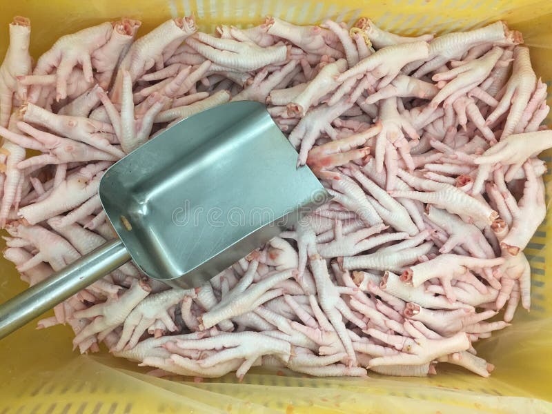 Raw chicken feet stock image. Image of lunch, pattern - 81103877