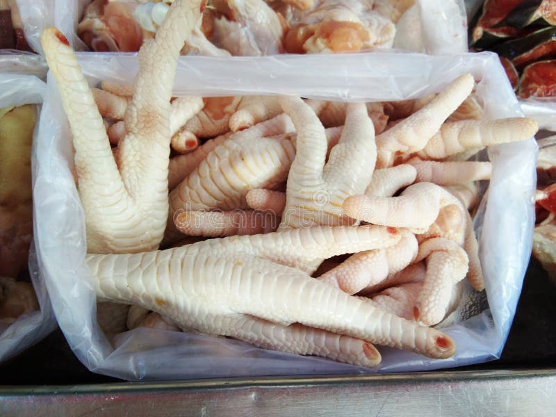 Raw chicken feet stock image. Image of rough, eating - 102258313