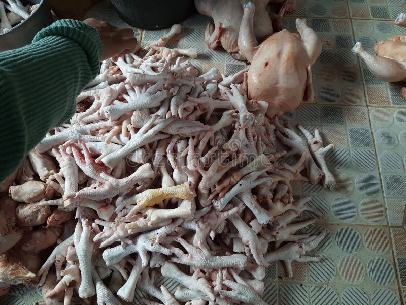 Raw Chicken Feet Sold in Fish Market Stock Image - Image of market ...