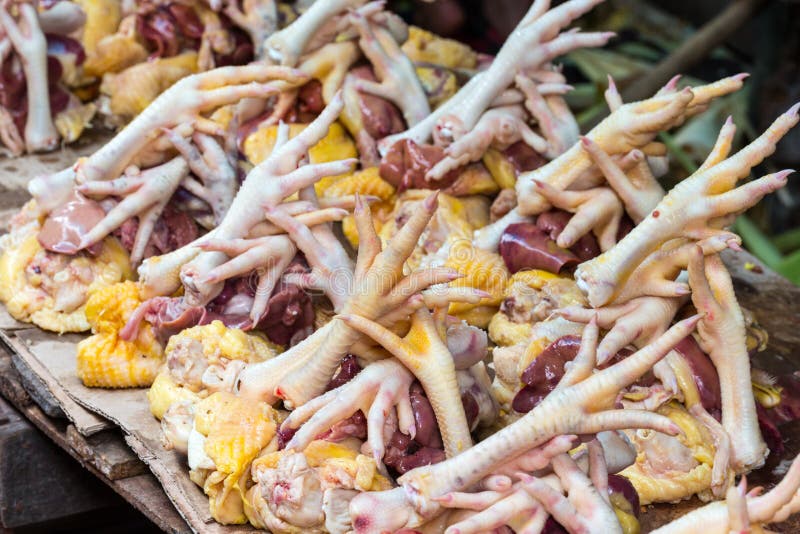 Raw Chicken feet stock image. Image of meat, oily, delicious - 40508497