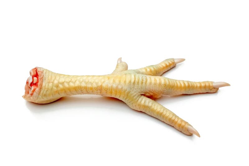 Raw Chicken Feet on White Background Stock Image - Image of detail ...