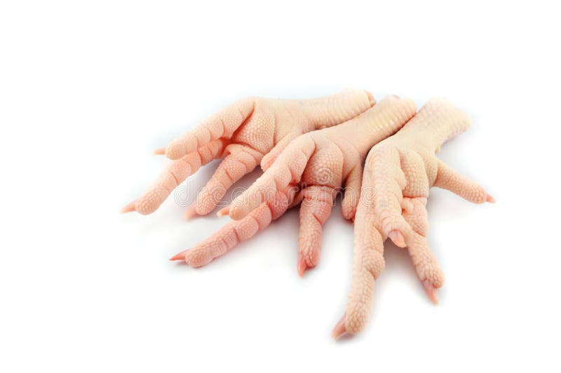 Raw chicken foot stock image. Image of bony, background - 42534025