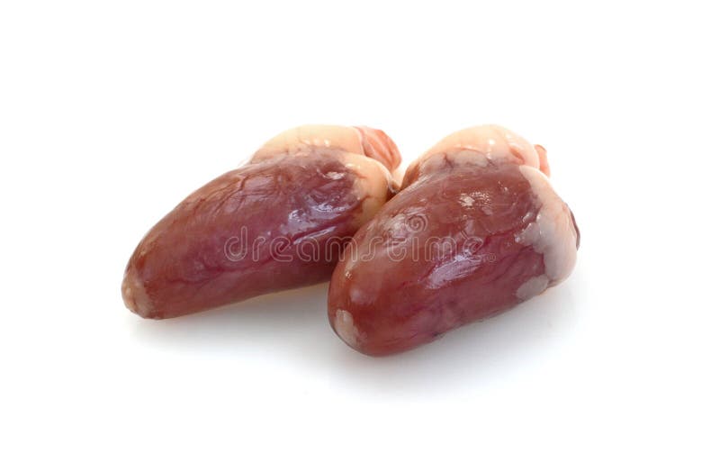 Raw chicken heart isolated stock image. Image of innards - 206950633