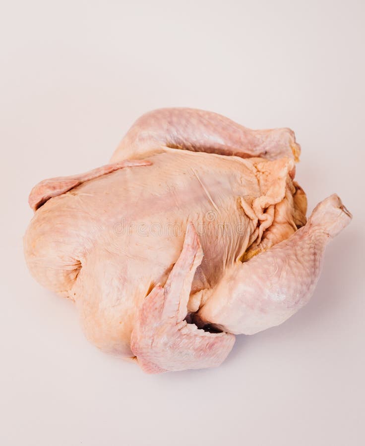 Big Fat Hen Stock Photos - Free & Royalty-Free Stock Photos from Dreamstime