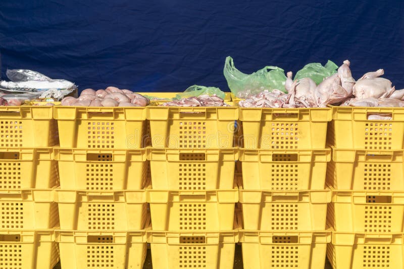 Sliced Chicken Parts Store in Cool Room for Distribution. Stock Photo ...