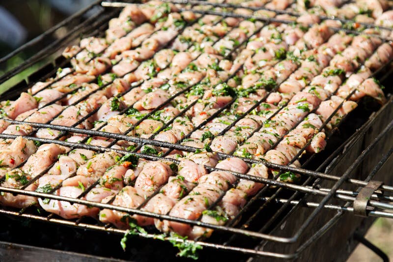 Raw Chicken Meat with Green. Stock Image - Image of eating, healthy ...