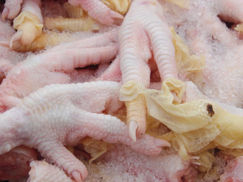Raw Chicken Paws Sold on the Market. Selective Focus Stock Image ...