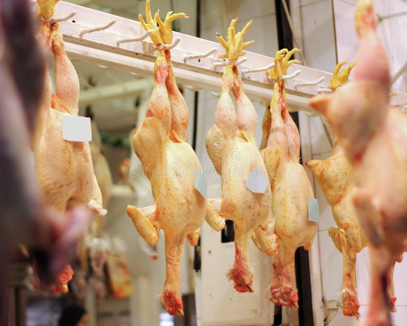 Raw chicken processing stock photo. Image of hooks, factory - 17690296