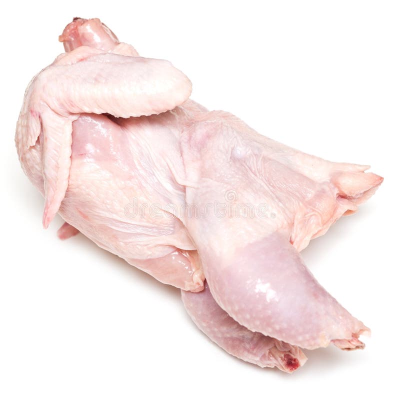 Raw chicken stock photo. Image of animal, chicken, meat - 129608018