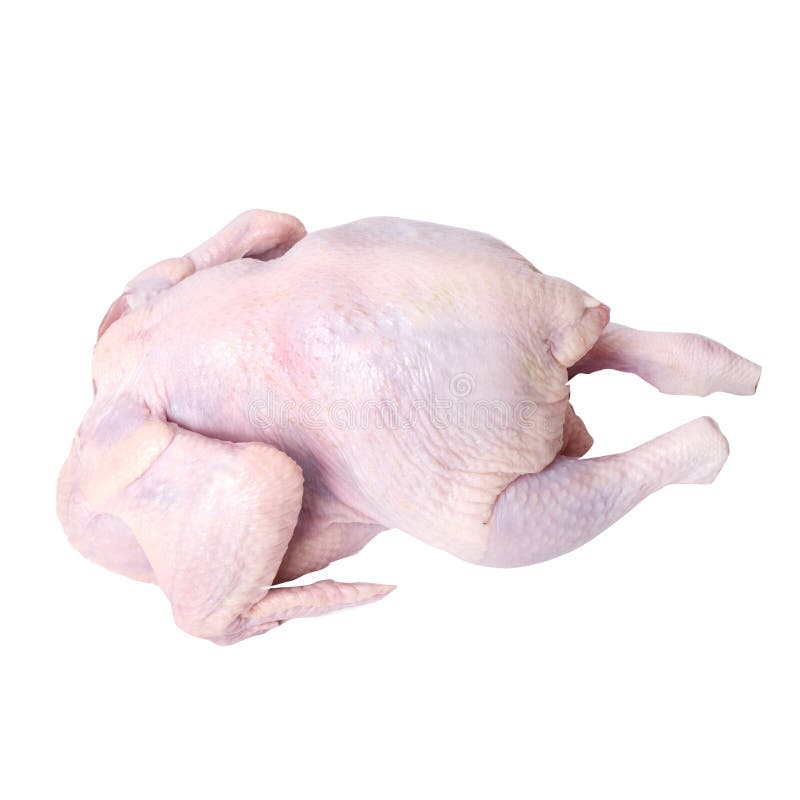 Raw chicken stock photo. Image of chef, meat, traditional - 48630308