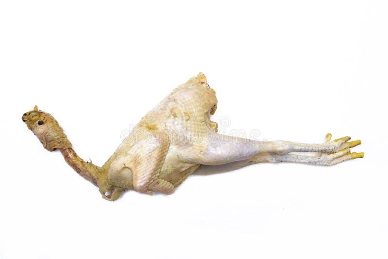 385 Raw Rat Stock Photos - Free & Royalty-Free Stock Photos from Dreamstime