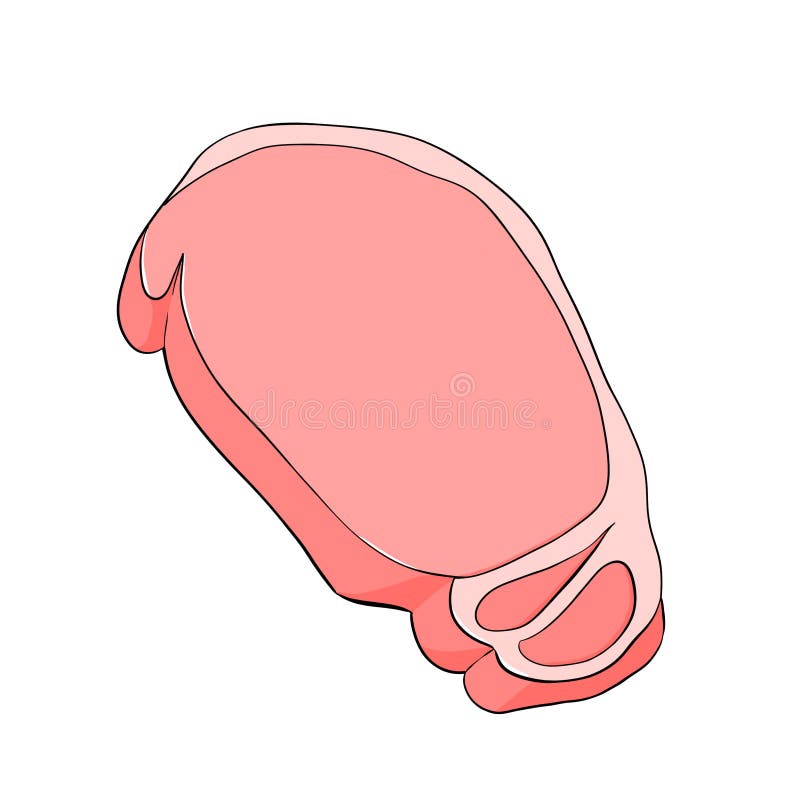 Raw Chop. Hand Drawn Illustration Isolated on White Background Stock ...