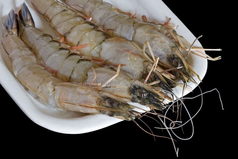 Raw cleaned prawns stock photo. Image of seafood, food - 24686776