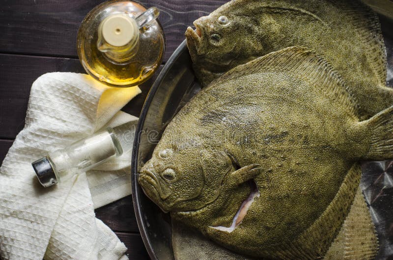 Raw flounder fish stock image. Image of flat, ready - 107921841