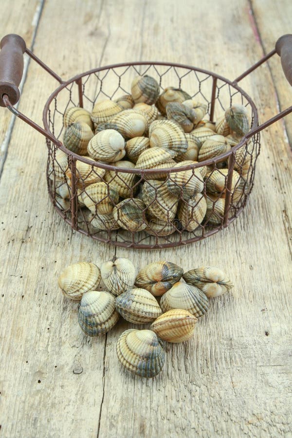 1,525 Raw Cockles Stock Photos - Free & Royalty-Free Stock Photos from ...