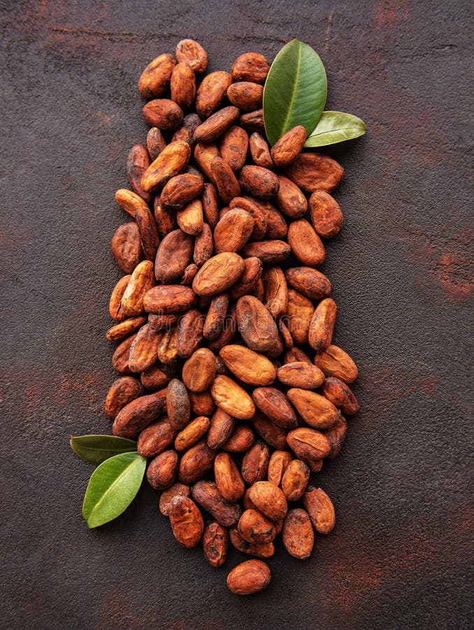 Raw cocoa beans stock image. Image of bowl, bean, background - 150556723