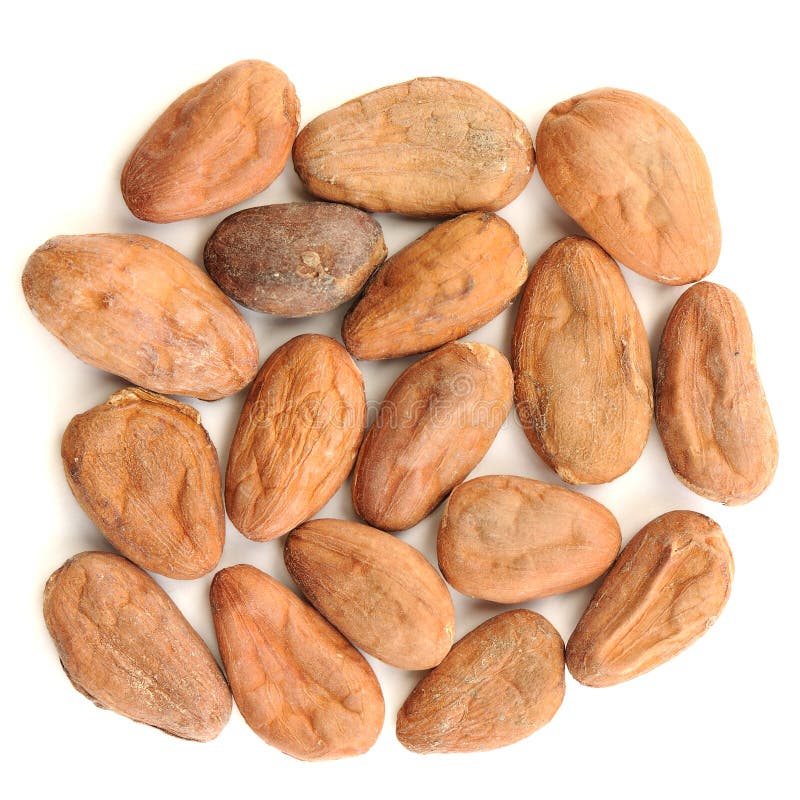 Raw Cocoa Beans in Square Shape Isolated Stock Image - Image of pattern ...