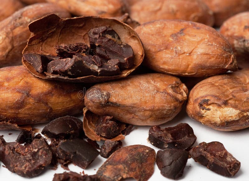 Raw cocoa beans stock photo. Image of chocolate, pulp - 16412960