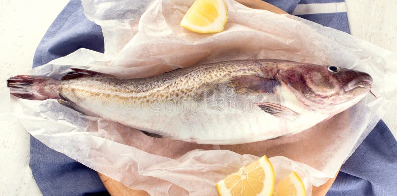 Raw cod fish stock photo. Image of diet, lemon, salt - 110659882