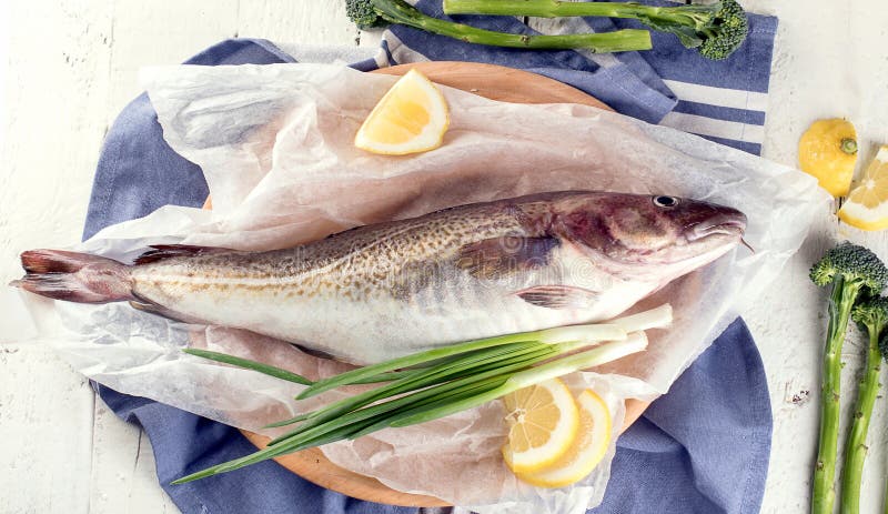 Raw cod fish stock image. Image of cuisine, herbs, delicious - 110659901