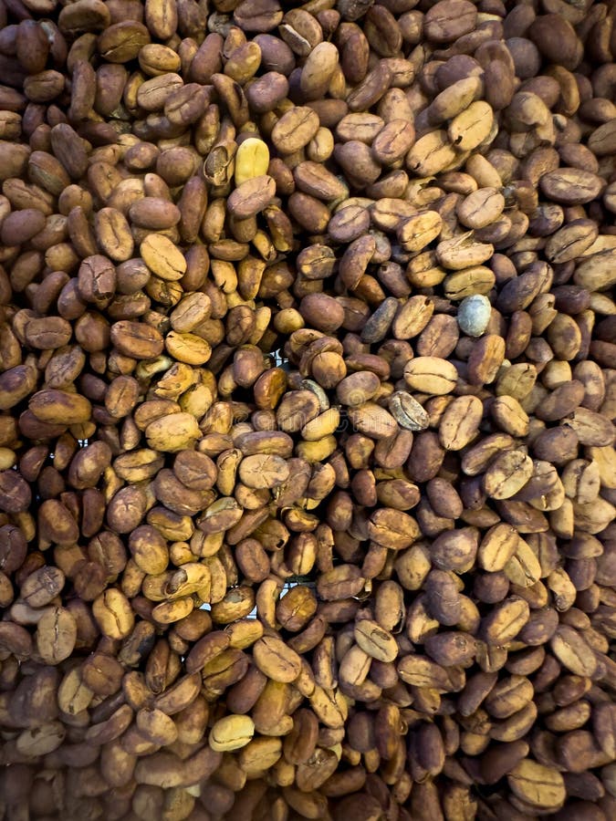 Raw Coffee Beans stock image. Image of flavored, fermentation - 325476109