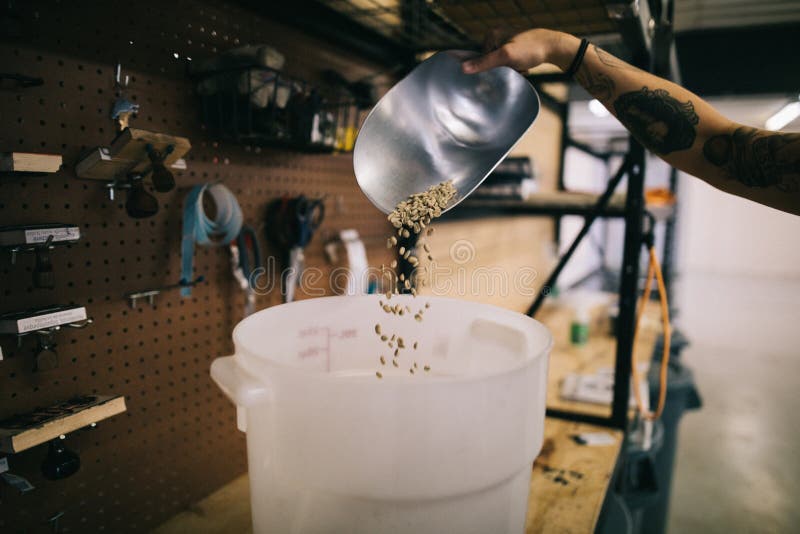 Raw coffee beans in bucket stock image. Image of pour - 147871009