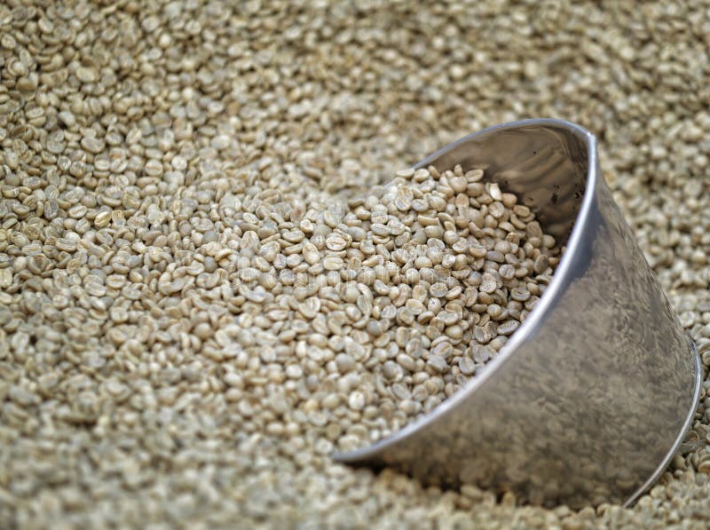 Raw Coffee. stock photo. Image of gourmet, color, fresh - 85344376