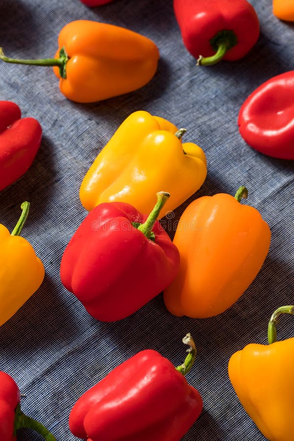 Raw Colorful Mini Bell Peppers Stock Image - Image of mini, plant ...