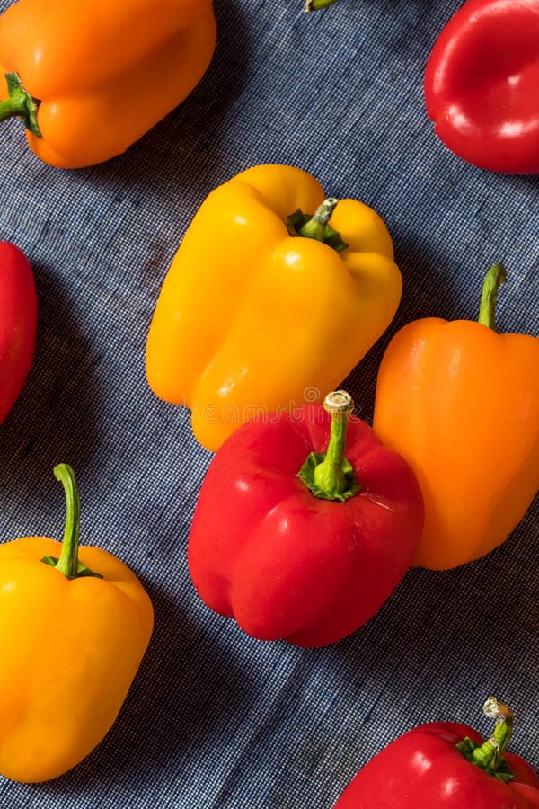 Raw Colorful Mini Bell Peppers Stock Image - Image of paprika, sweet ...