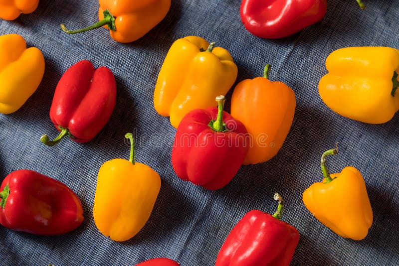 Raw Colorful Mini Bell Peppers Stock Photo - Image of sweet, mini ...