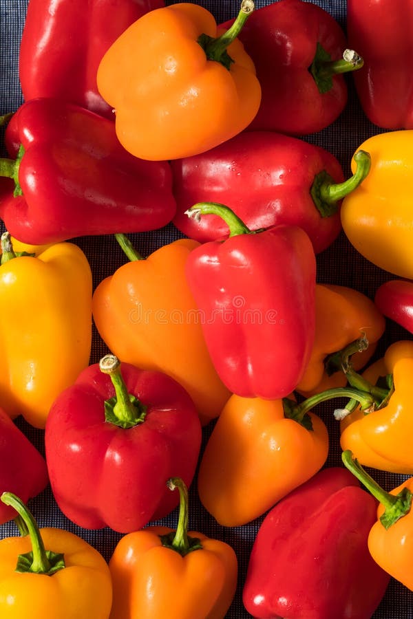 Raw Colorful Mini Bell Peppers Stock Image - Image of small, fresh ...