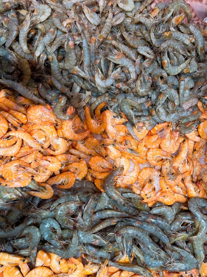 Raw and Cooked Shrimp on the Store Counter Stock Image - Image of ...