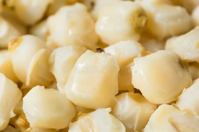 Raw Cooked White Mexican Hominy Corn Stock Image - Image of traditional ...