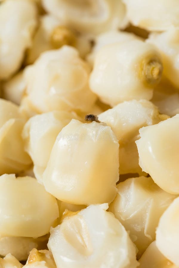 Raw Cooked White Mexican Hominy Corn Stock Image - Image of wooden ...