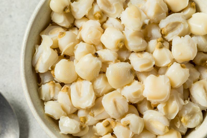 Raw Cooked White Mexican Hominy Corn Stock Photo - Image of mexican ...