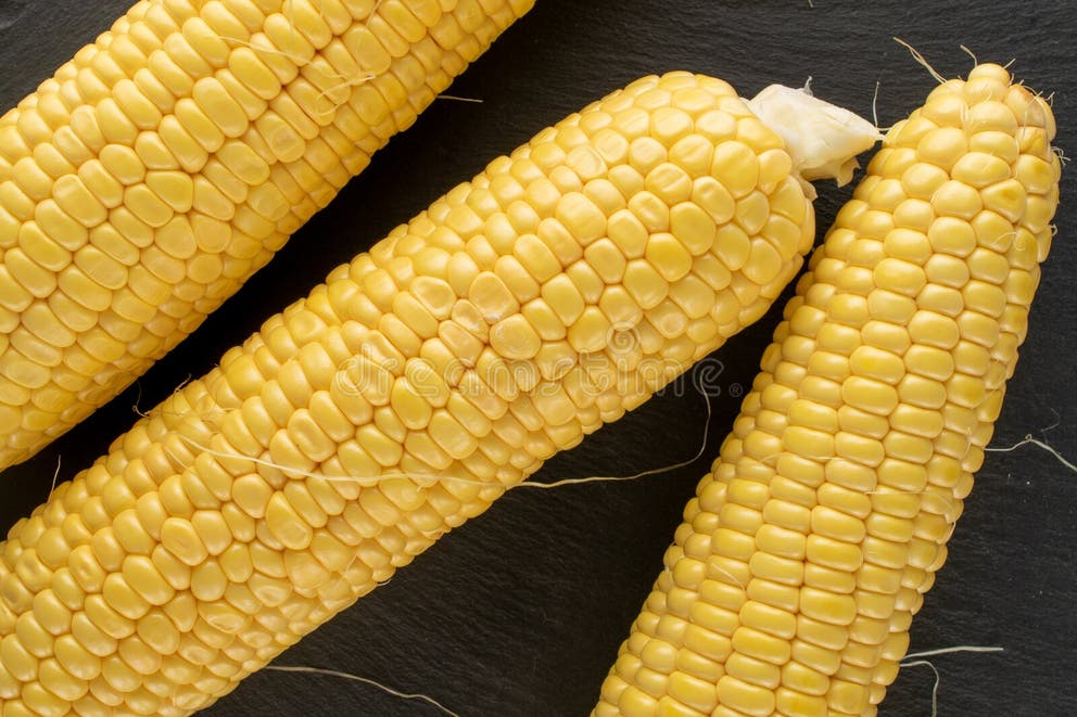 Raw Corn Cobs with Kitchen Utensils Isolated on White Background and ...