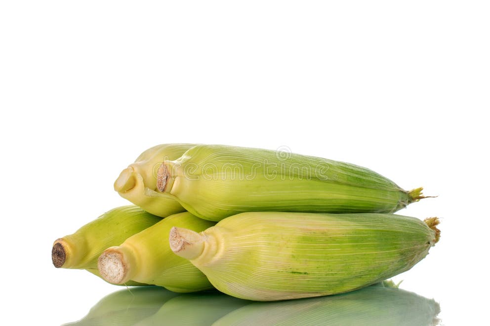 Raw Corn Cobs with Kitchen Utensils Isolated on White Background and ...