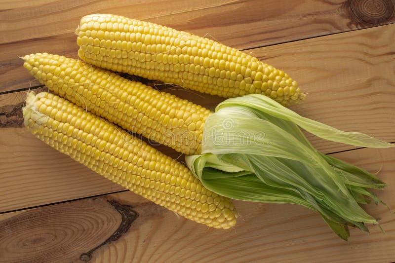 Raw Corn Cobs with Kitchen Utensils Isolated on White Background and ...