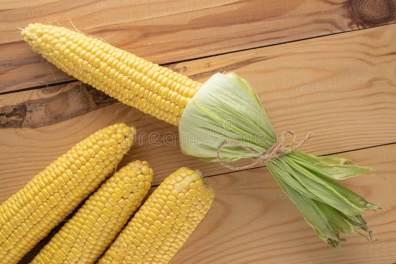 Raw Corn Cobs with Kitchen Utensils Isolated on White Background and ...