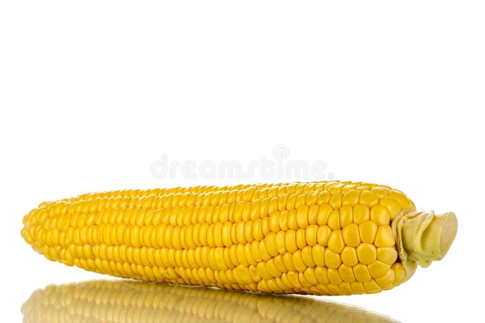 Raw Corn Cobs with Kitchen Utensils Isolated on White Background and ...
