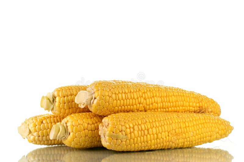 Raw Corn Cobs with Kitchen Utensils Isolated on White Background and ...