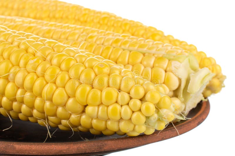 Raw Corn Cobs with Kitchen Utensils Isolated on White Background and ...