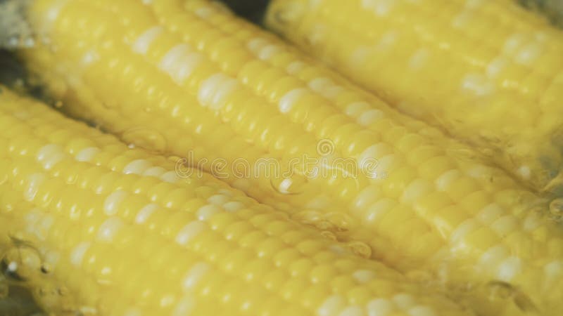 Raw Corn is Cooked in Boiling Water. Stock Video - Video of kitchen ...