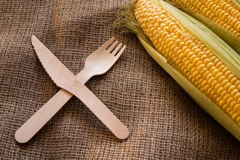 Raw corn. food ingredient stock photo. Image of farm - 217291102