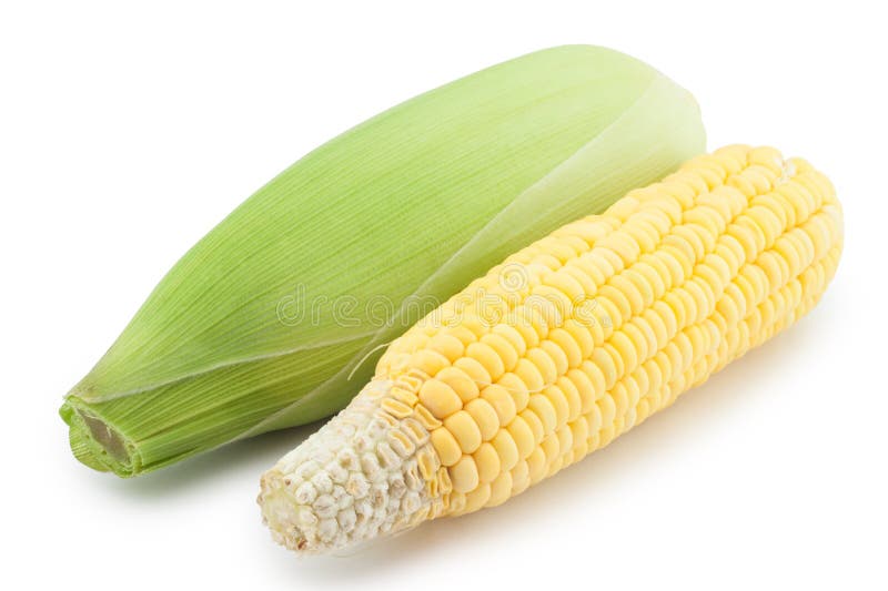 Raw corn stock photo. Image of sweetcorn, boiled, stick - 71942090