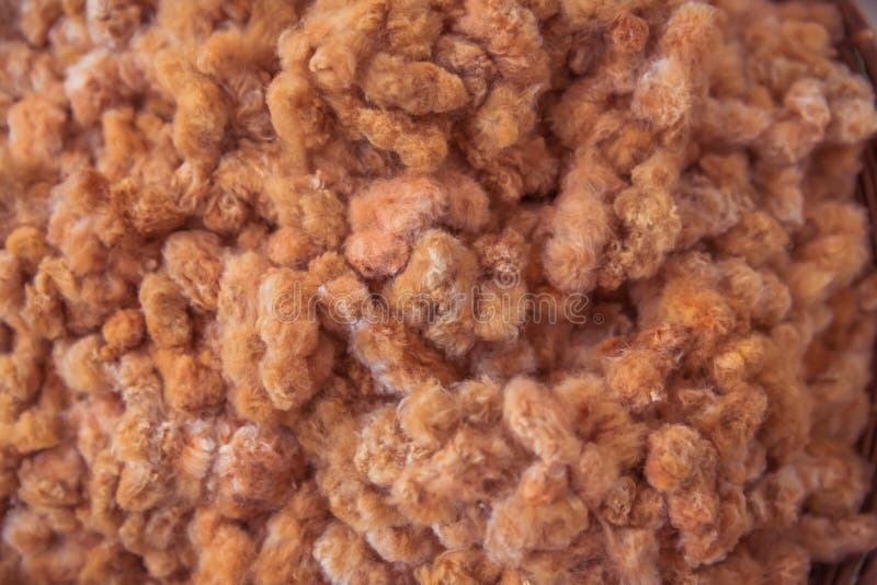 Raw Cotton. Cotton Group Material Raw. Organic Brown Cotton Stock Photo ...