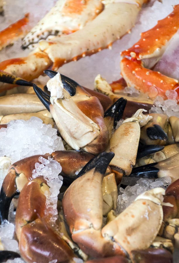 Bengen Stock Photos - Free & Royalty-Free Stock Photos from Dreamstime