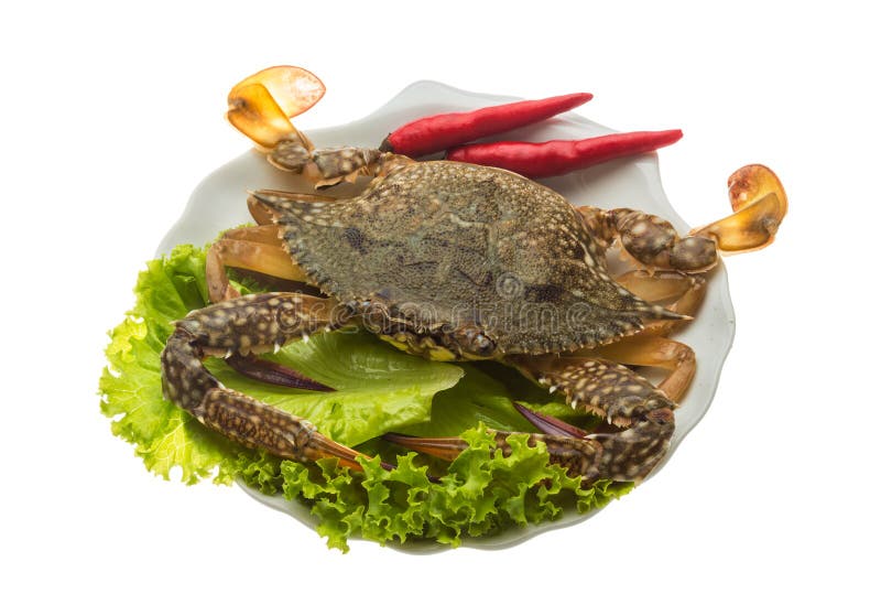 Raw crab stock photo. Image of crustacean, meal, shot - 46972472