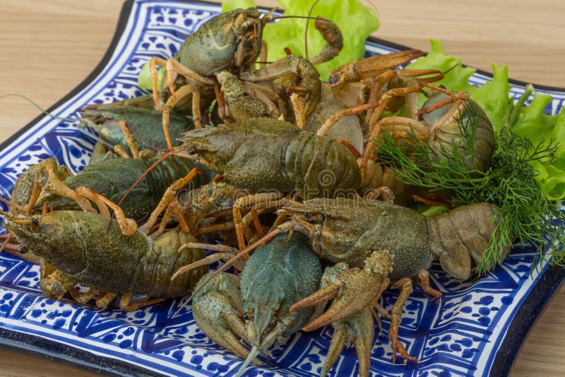 Raw Crayfish stock photo. Image of background, cooking - 50611346